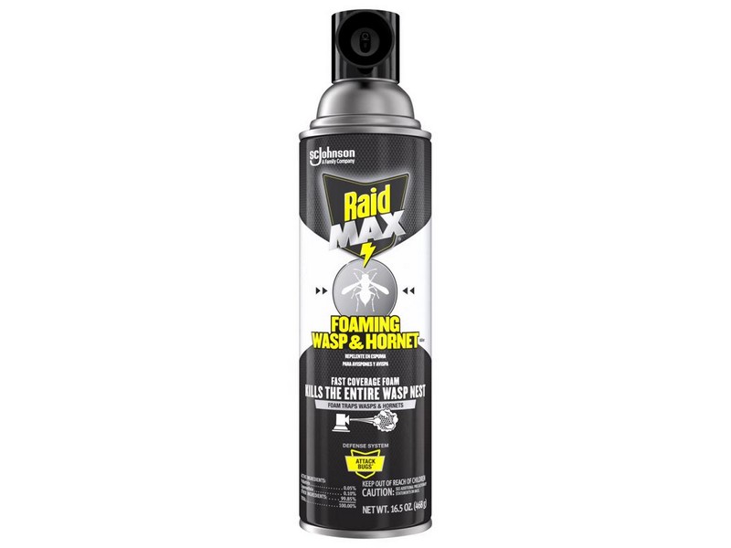 Departments - Raid Max Wasp and Hornet Killer Foam 16.5 oz